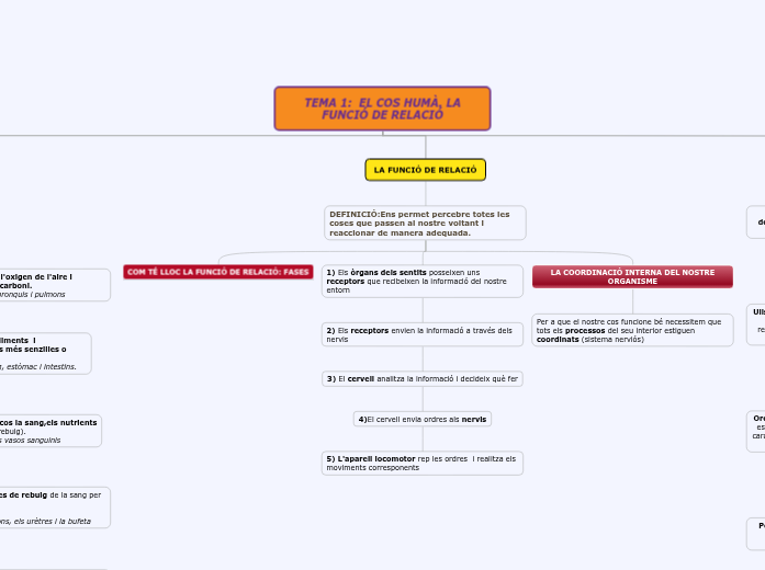 EL COS HUMÀ. LAFUNCIÓ DE RELACIÓ - Mind Map